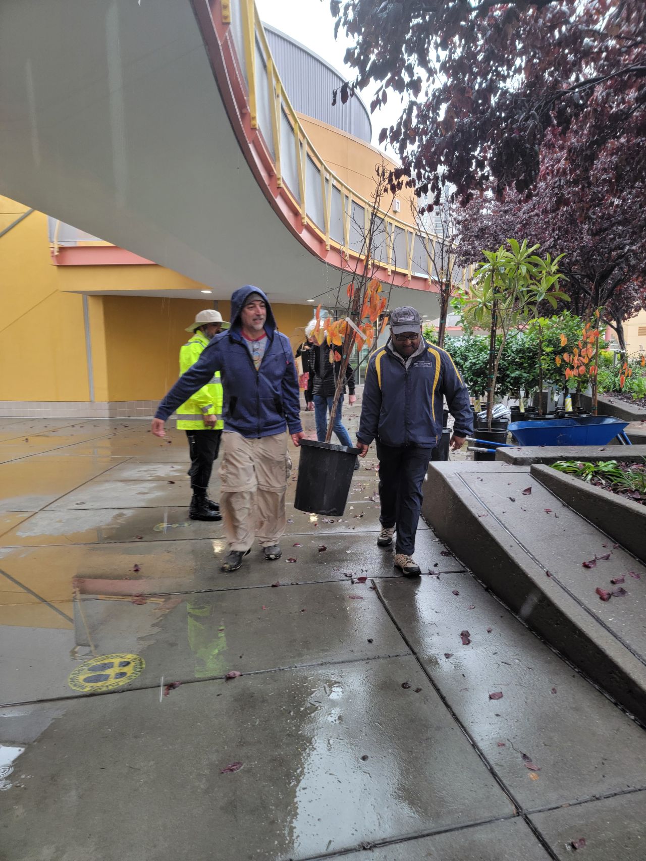 Executive Director Seve Ghose talks Fruit Trees - Yerba Buena Gardens